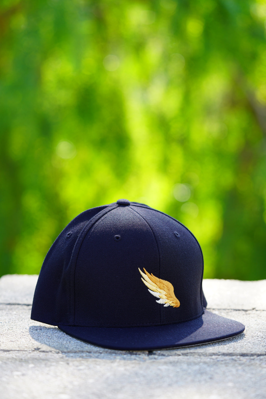 TAKEOFF FLATBILL HAT (Black/Sunburst Wing)